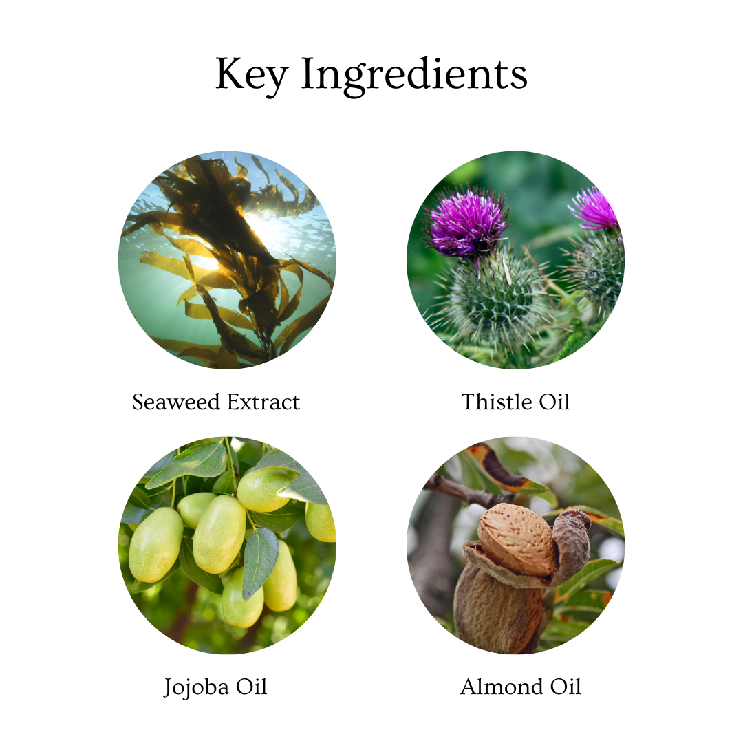 Invigorating Body Oil 100ml | ishga UK